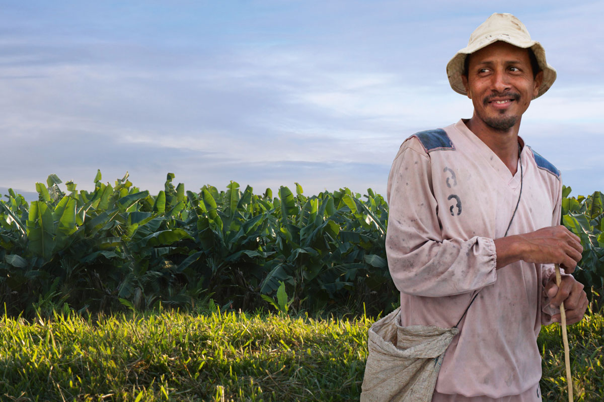 Virtual Reality Makes Dole Farm Visit An Adventure – FAB News