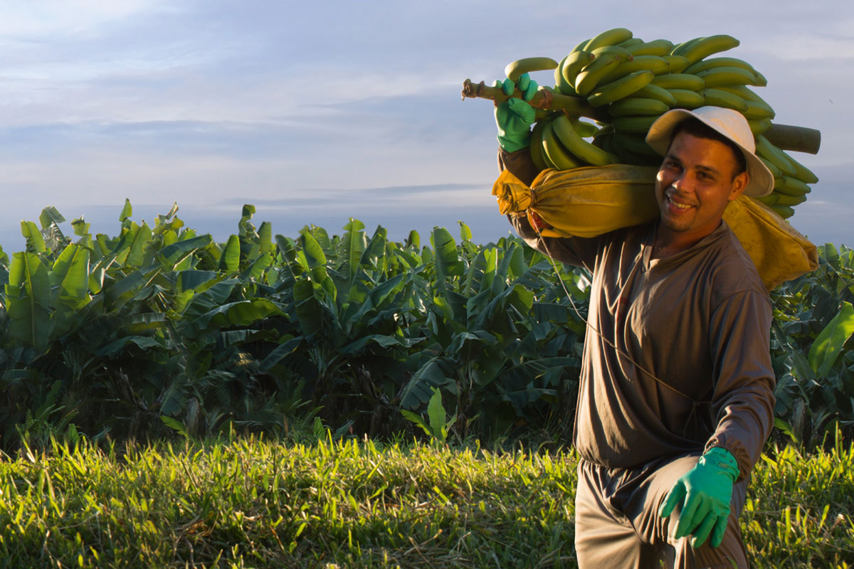 Virtual Reality Makes Dole Farm Visit An Adventure – FAB News