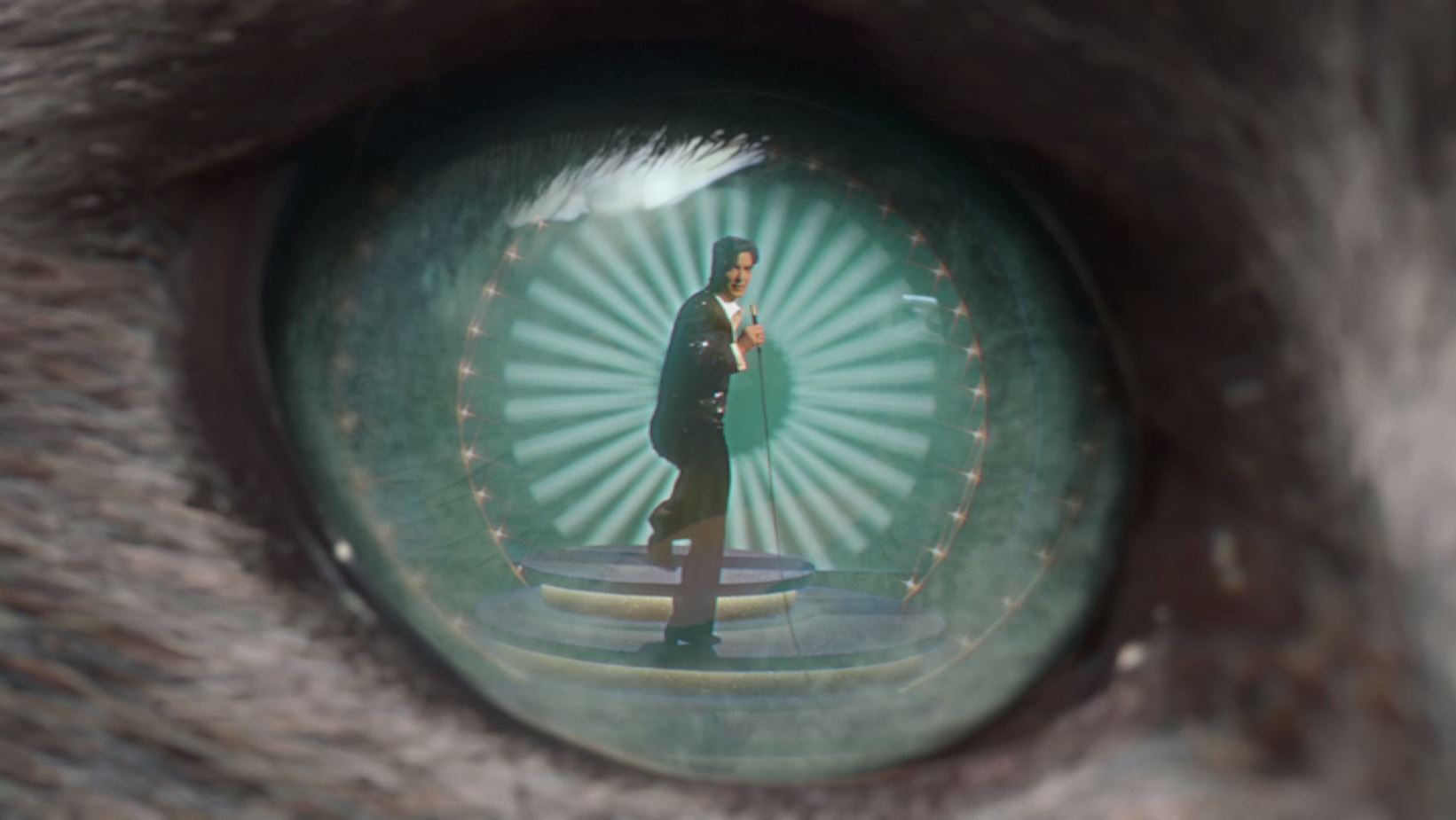 French ‘Crooner’ Seduces in New Sheba Campaign by AMV BBDO – FAB News