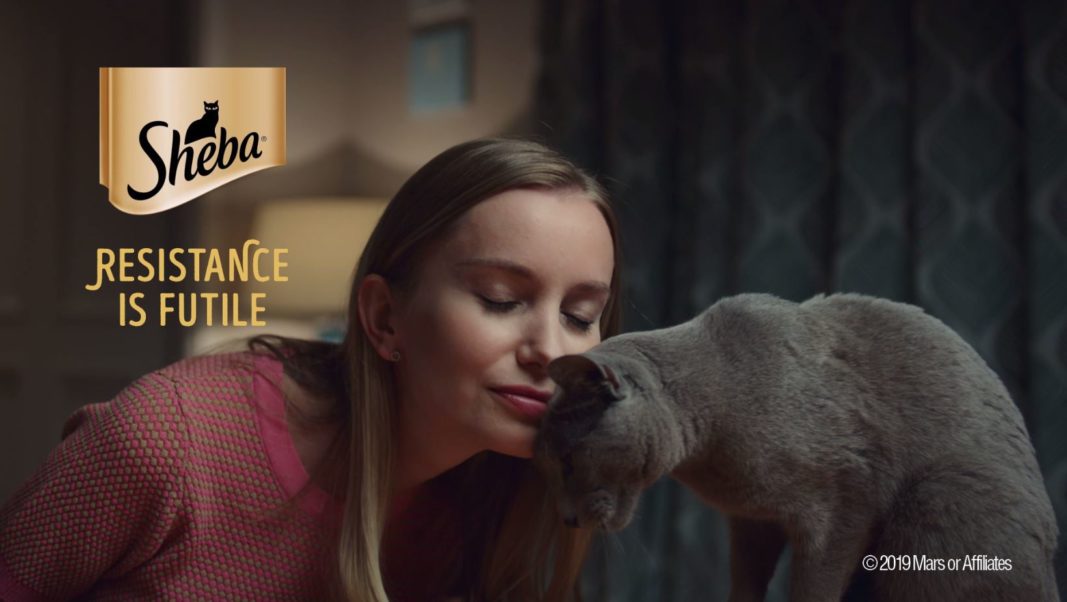 French ‘Crooner’ Seduces in New Sheba Campaign by AMV BBDO – FAB News