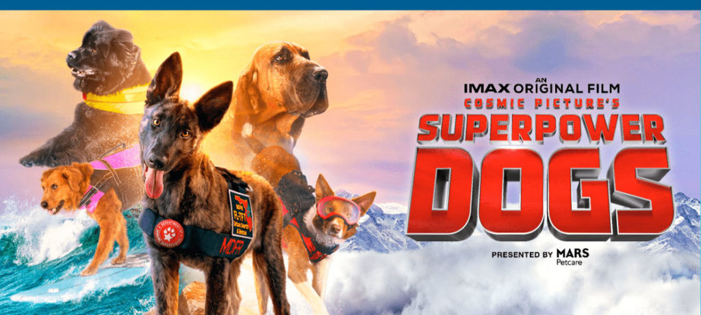 Pedigree Shines the Spotlight on Adoption with New “Every Pup’s ...