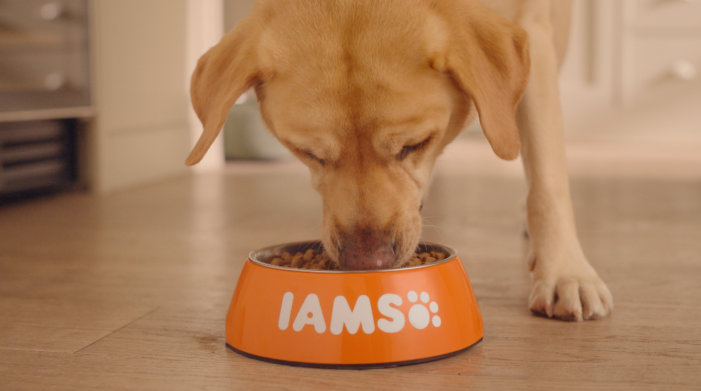 National Pet Week Marks The Launch Of IAMS’ New National Brand Campaign ...