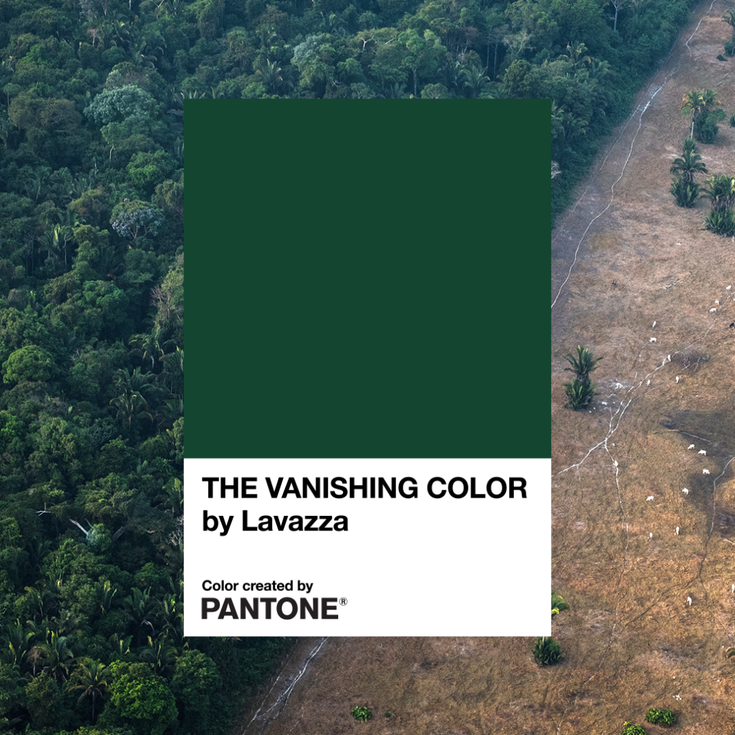 Lavazza & Pantone Color Institute highlight deforestation in the Amazon ...