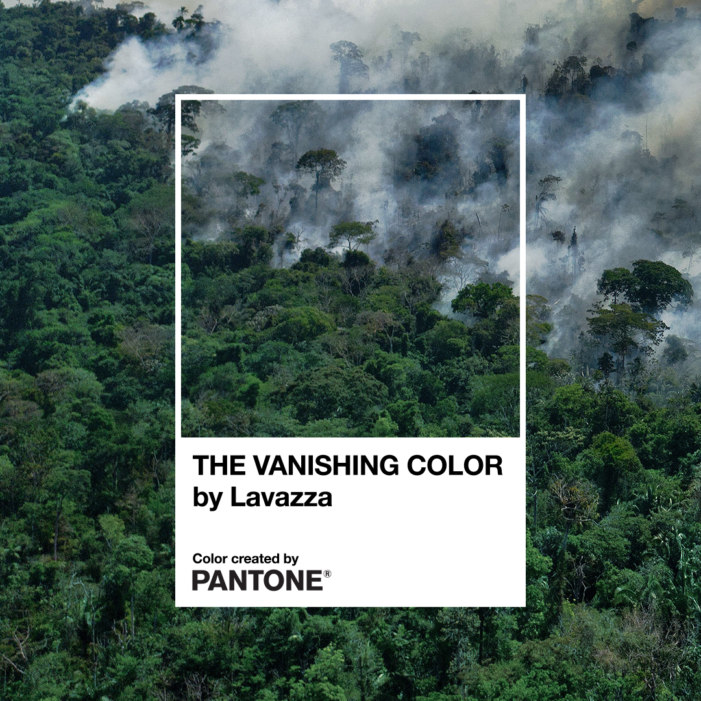 Lavazza & Pantone Color Institute highlight deforestation in the Amazon ...