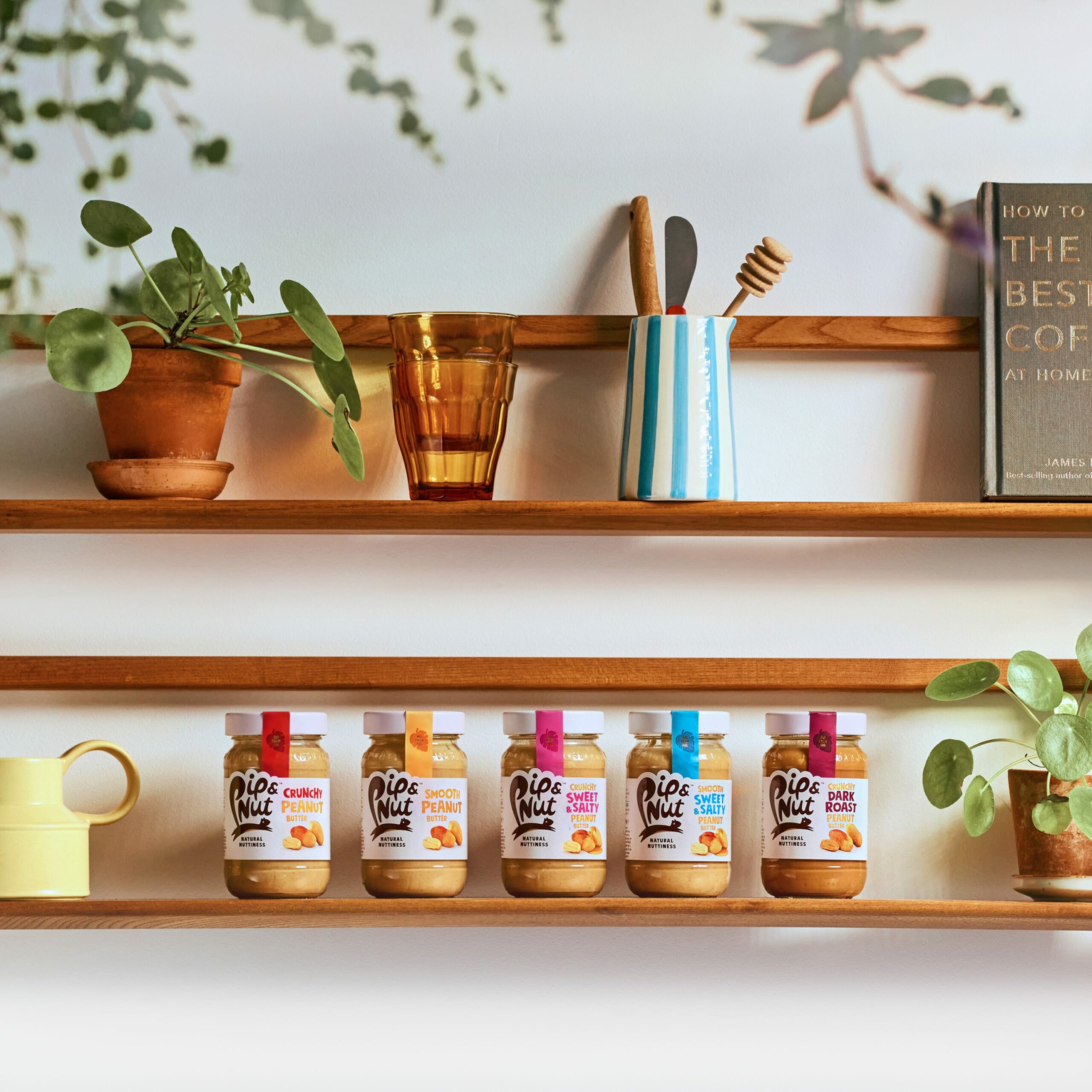 Pip & Nut unveils bold new look for next wave of growth – FAB News